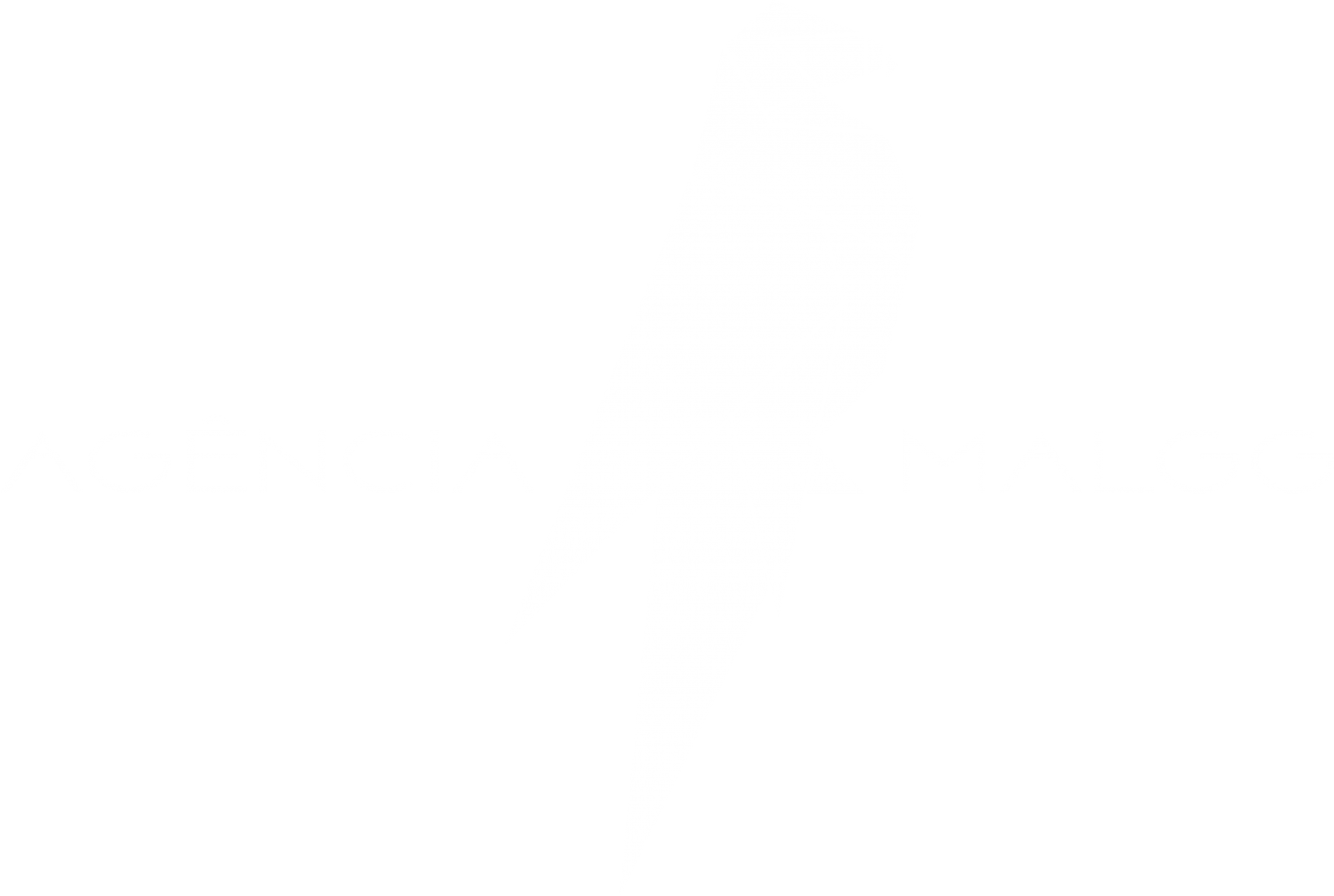 Agencia Malgg – A Agencia que Cria e Ativa